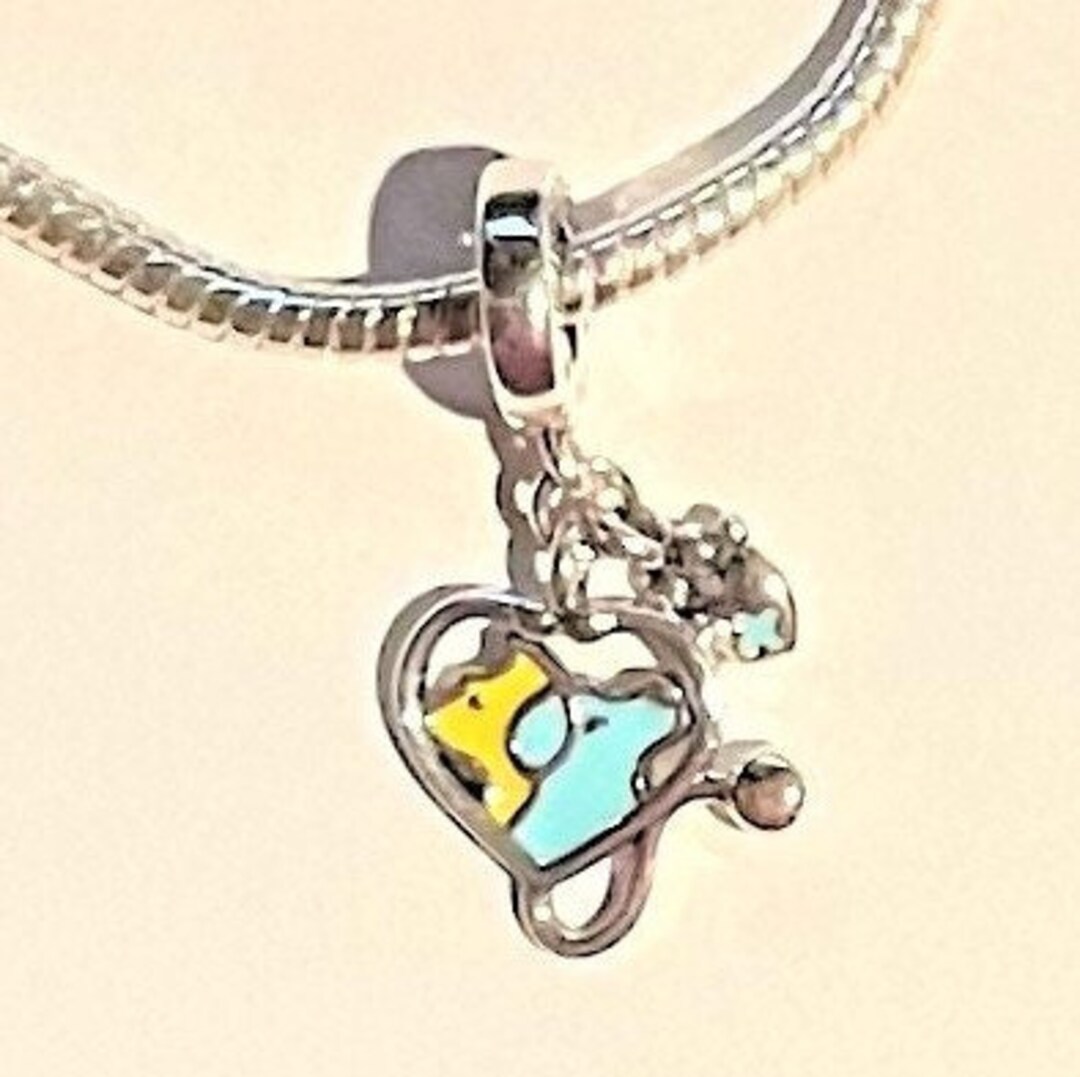 Pawprint Heart Charm ,pet Doctor Veterinarian Dangle Charm Fits Pandora ...