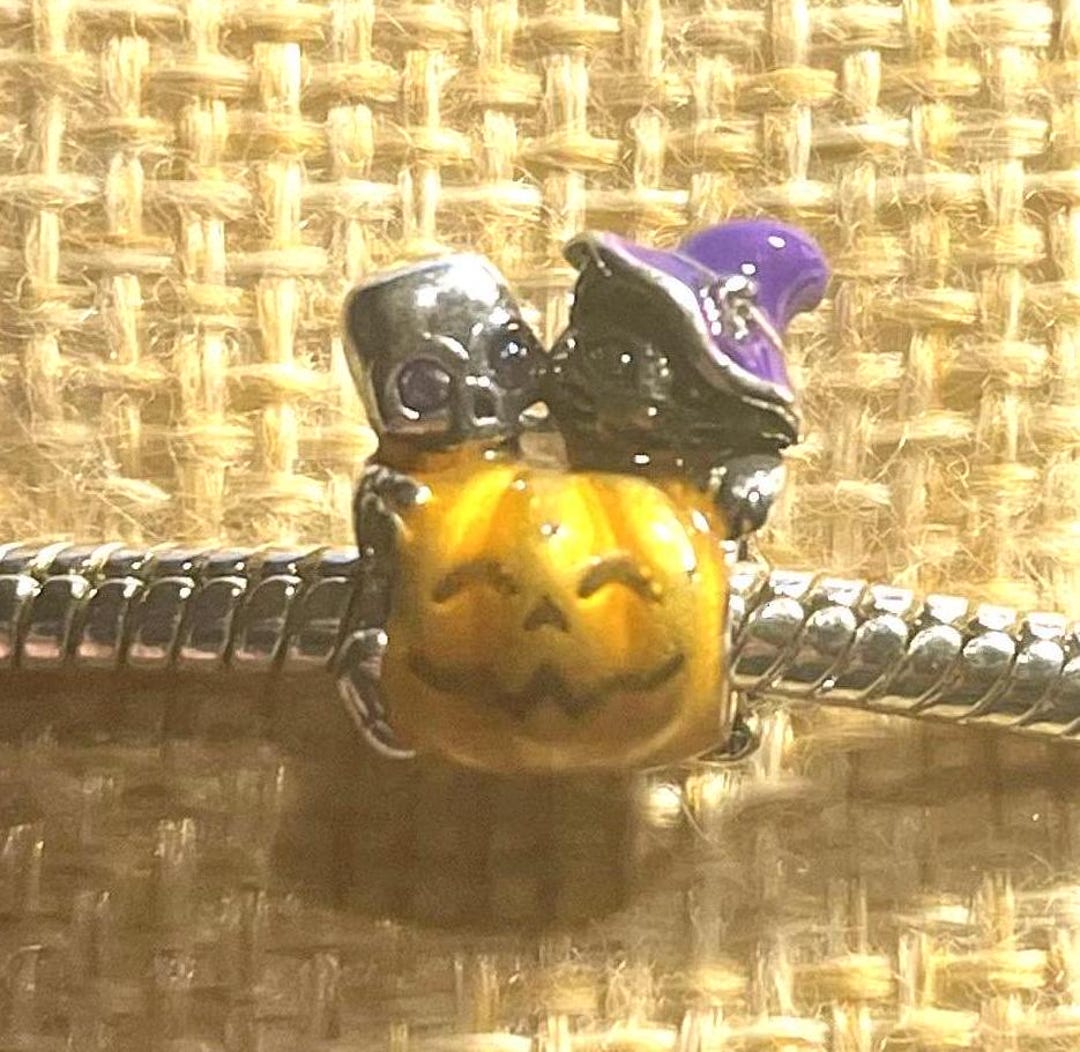 Witch Cat and Skeleton Pumpkin Charm Fits Pandora Bracelet , Halloween ...