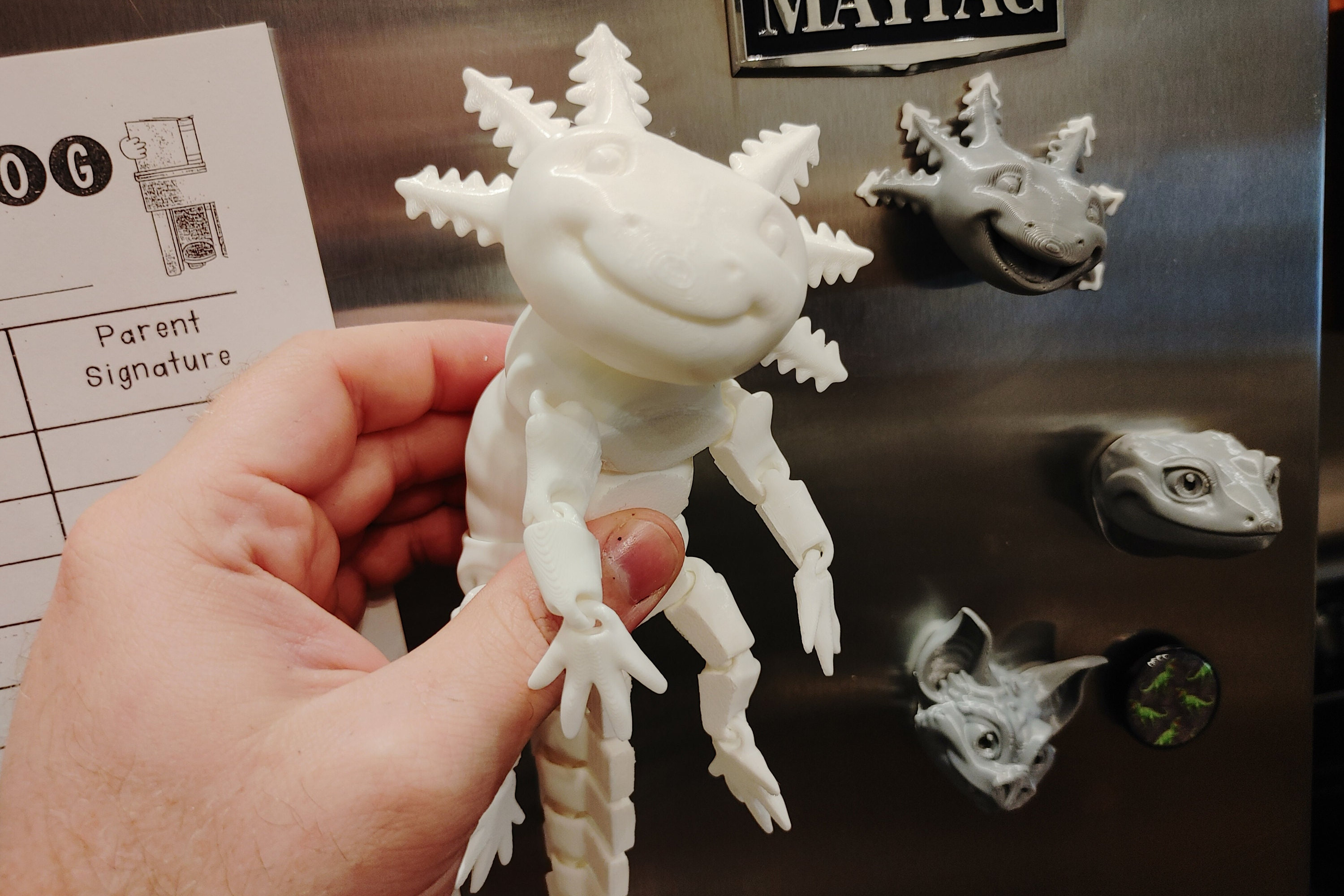 Cute Articulated Axolotl 3d Printed Figure / Desk Pet Toy Gift ...