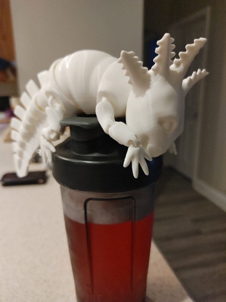Cute Articulated Axolotl 3d Printed Figure / Desk Pet Toy Gift - Etsy
