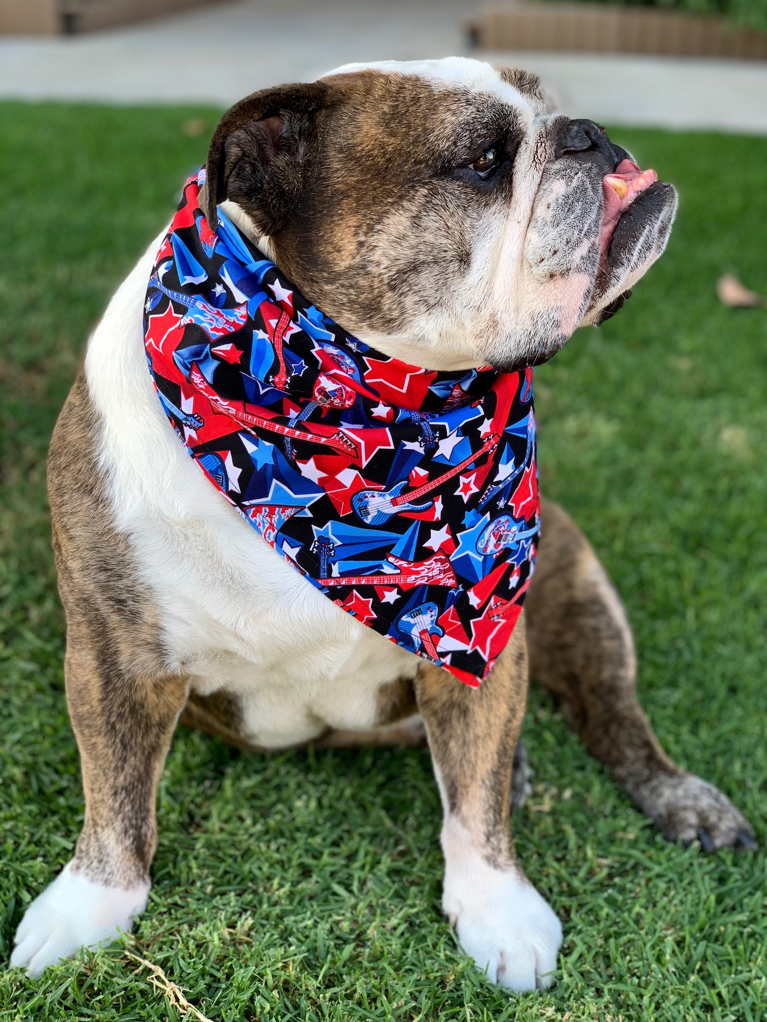 Bandana Rock America Red, White and Blue Stars and Guitars Print - Etsy