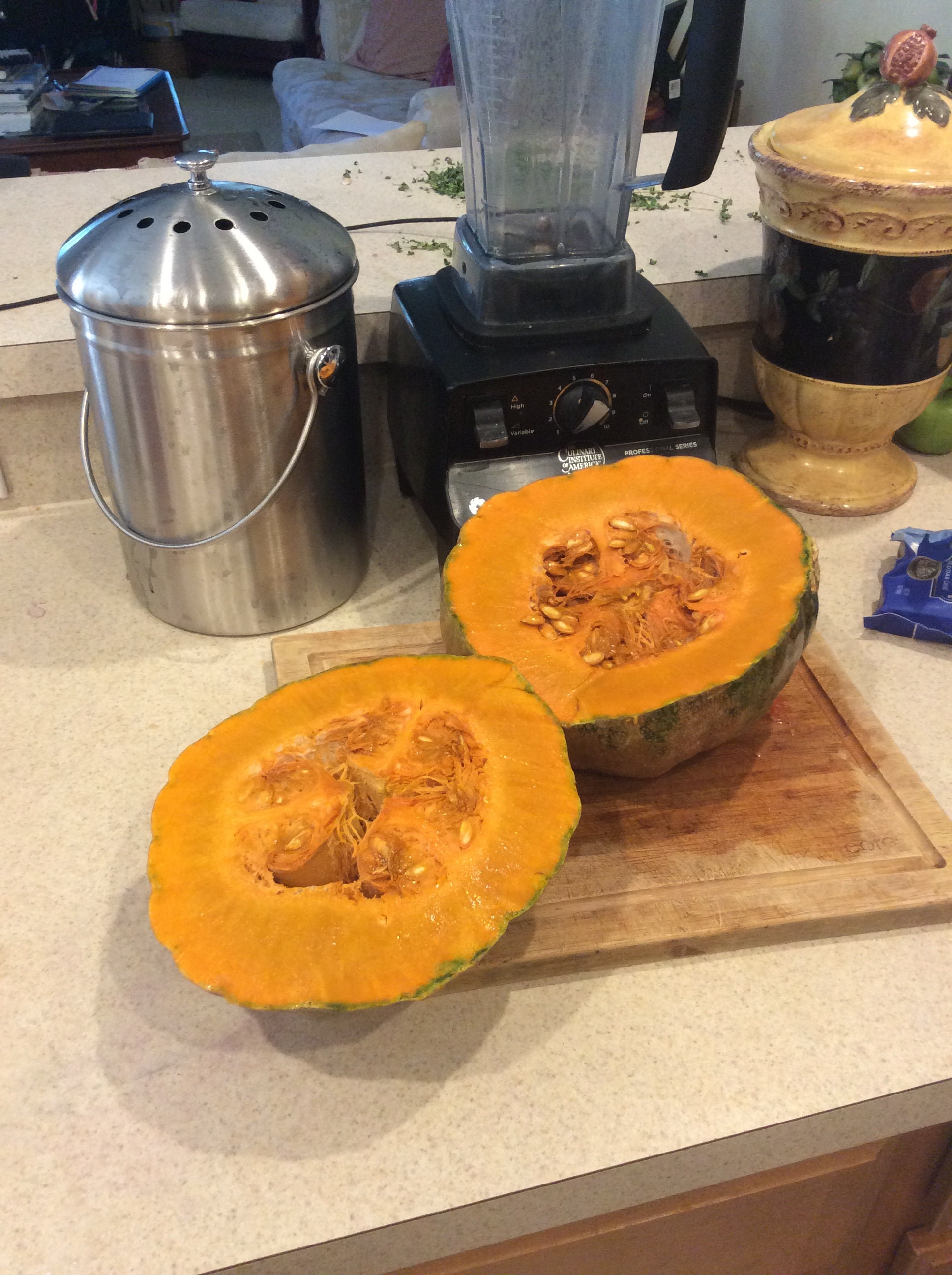 Calabaza Pumpkin/squash Seeds Bug and Disease Resistant-pack of 20 ...