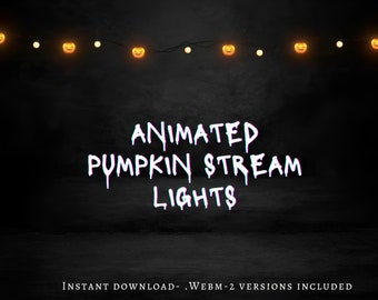 Stream Vtuber Overlay Animated - Etsy