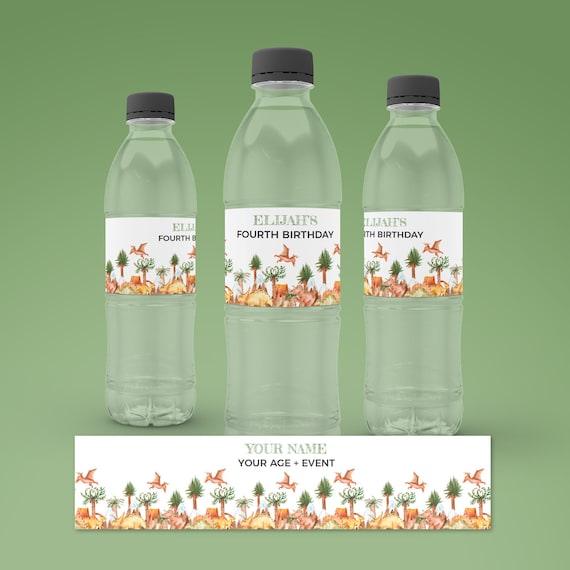 Dinosaur Water Bottle Label editable printable | Prehistoric Birthday ...