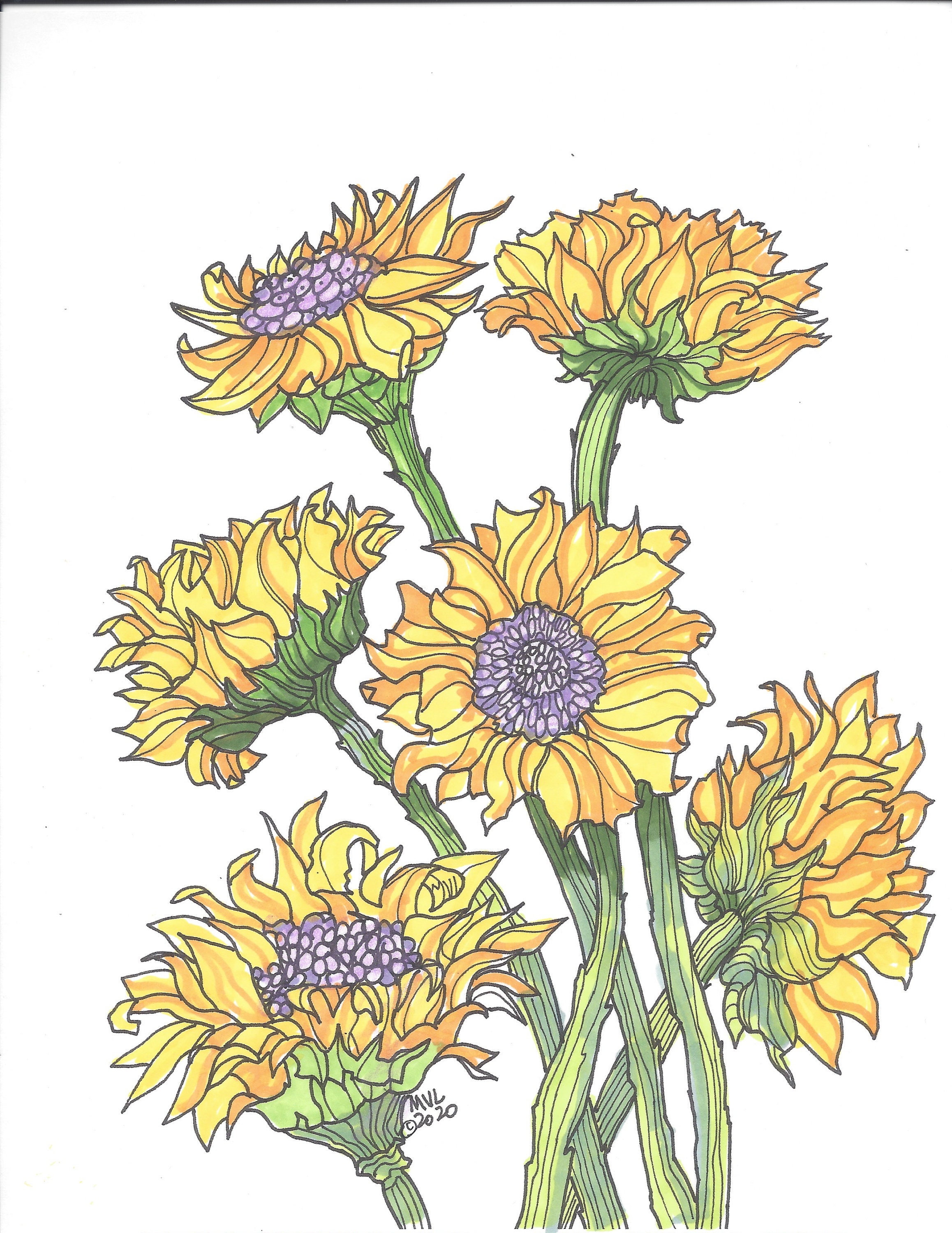 Garden Variety 5 Downloadable Coloring Pages - Etsy