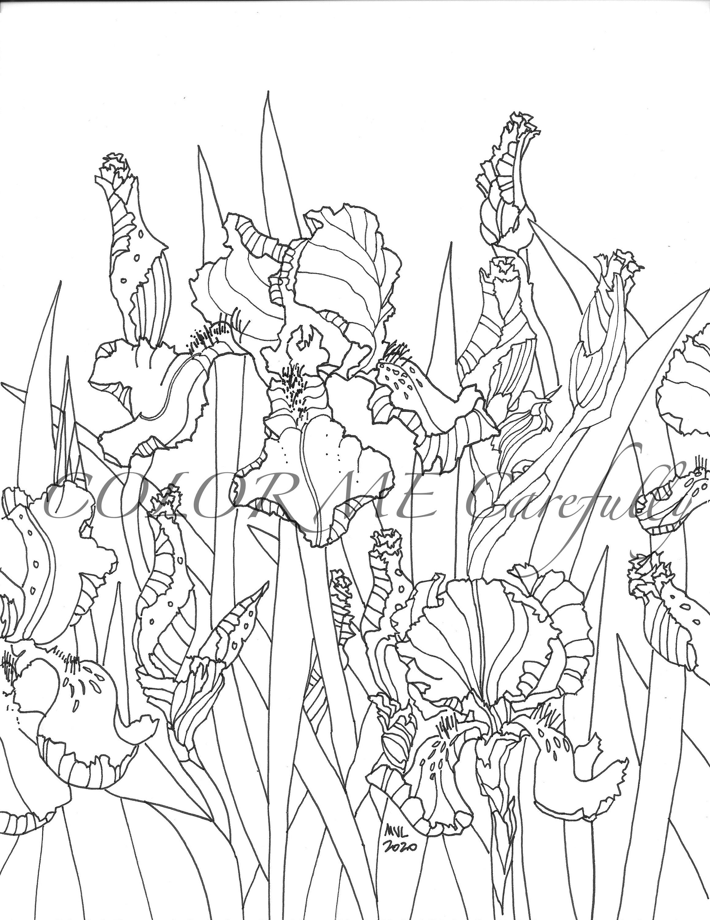 Garden Variety 5 Downloadable Coloring Pages - Etsy
