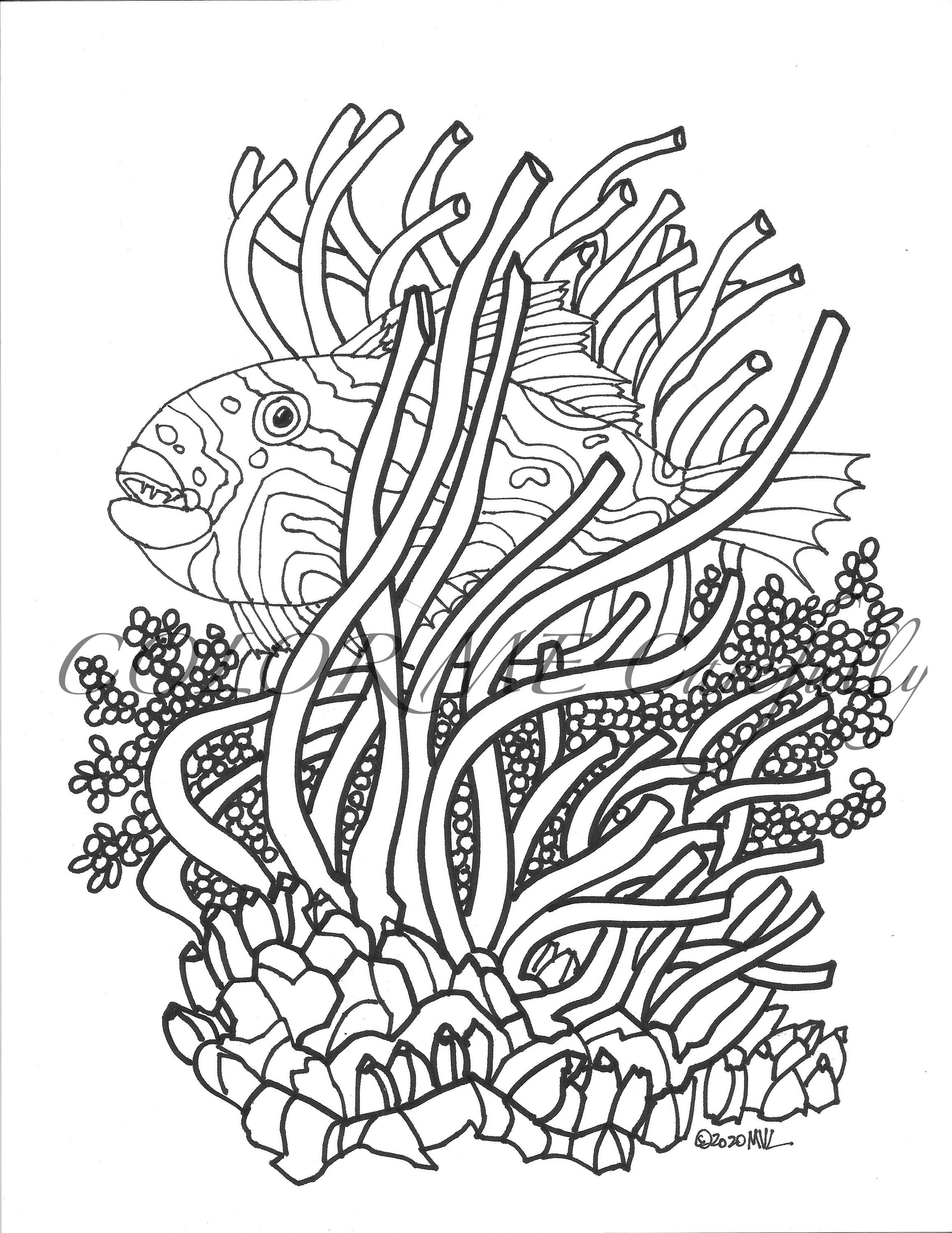 Ocean Life 5 Downloadable Coloring Pages - Etsy