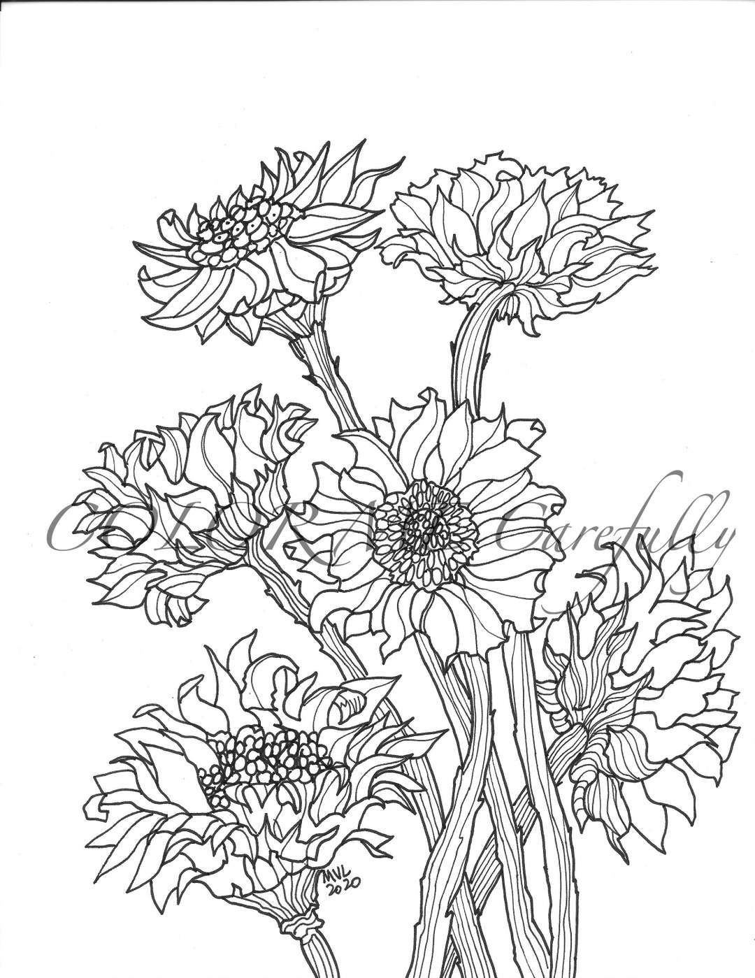Garden Variety 5 Downloadable Coloring Pages - Etsy