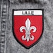 Écusson patche blason Lille applique patch badge armoiries - Etsy France