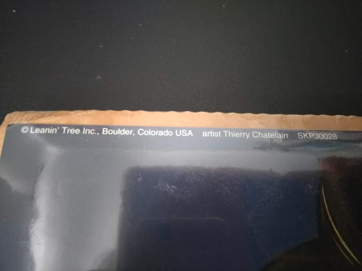 Leanin' Tree Vintage Poster Native American Indian, North American Birds, Bald Eagle, Falcons ...