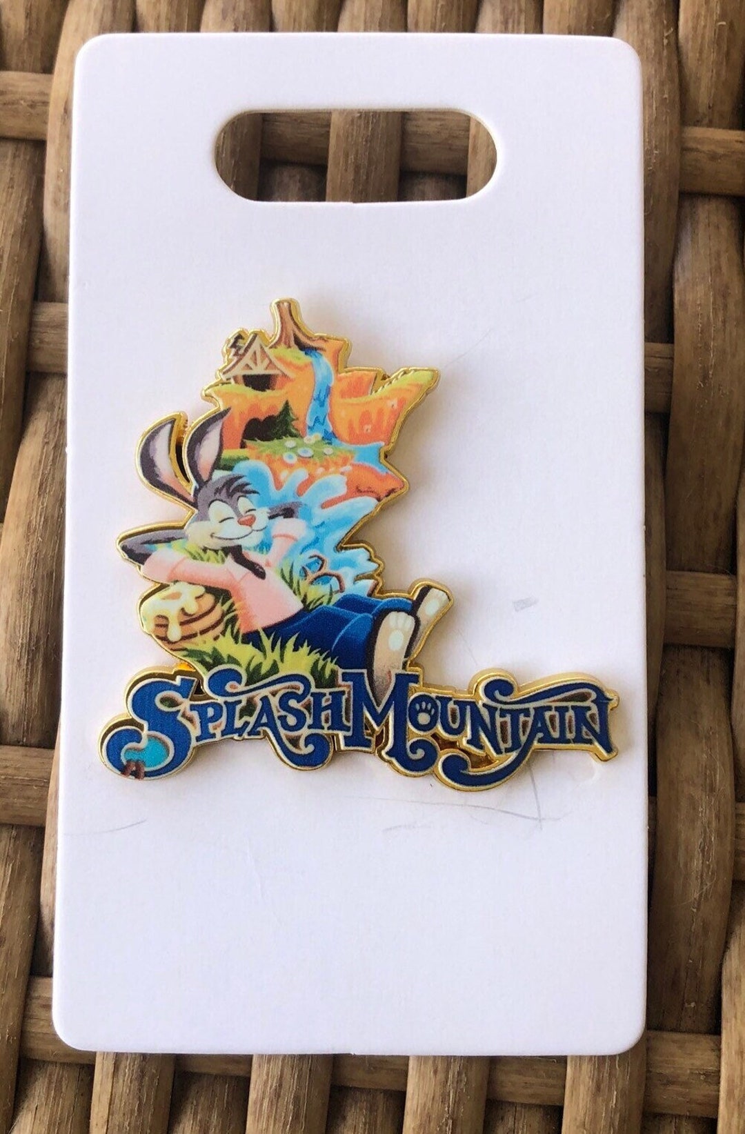 Disney's Splash Mountain Brer Rabbit Briar Patch Fantasy Pin WDW ...