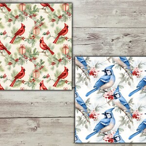 Christmas Birds Digital Paper for Your Holiday Project, Junk Journals ...