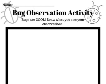 scientific observation sheet
