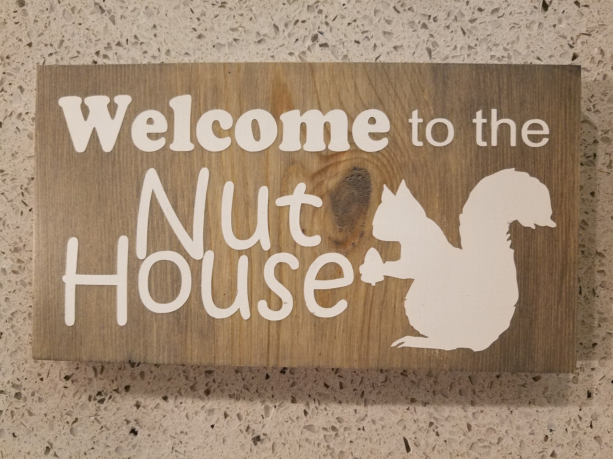 Painted Sign - Pine 4 X 7 - Welcome to the Nut House - Wood Wall Art ...