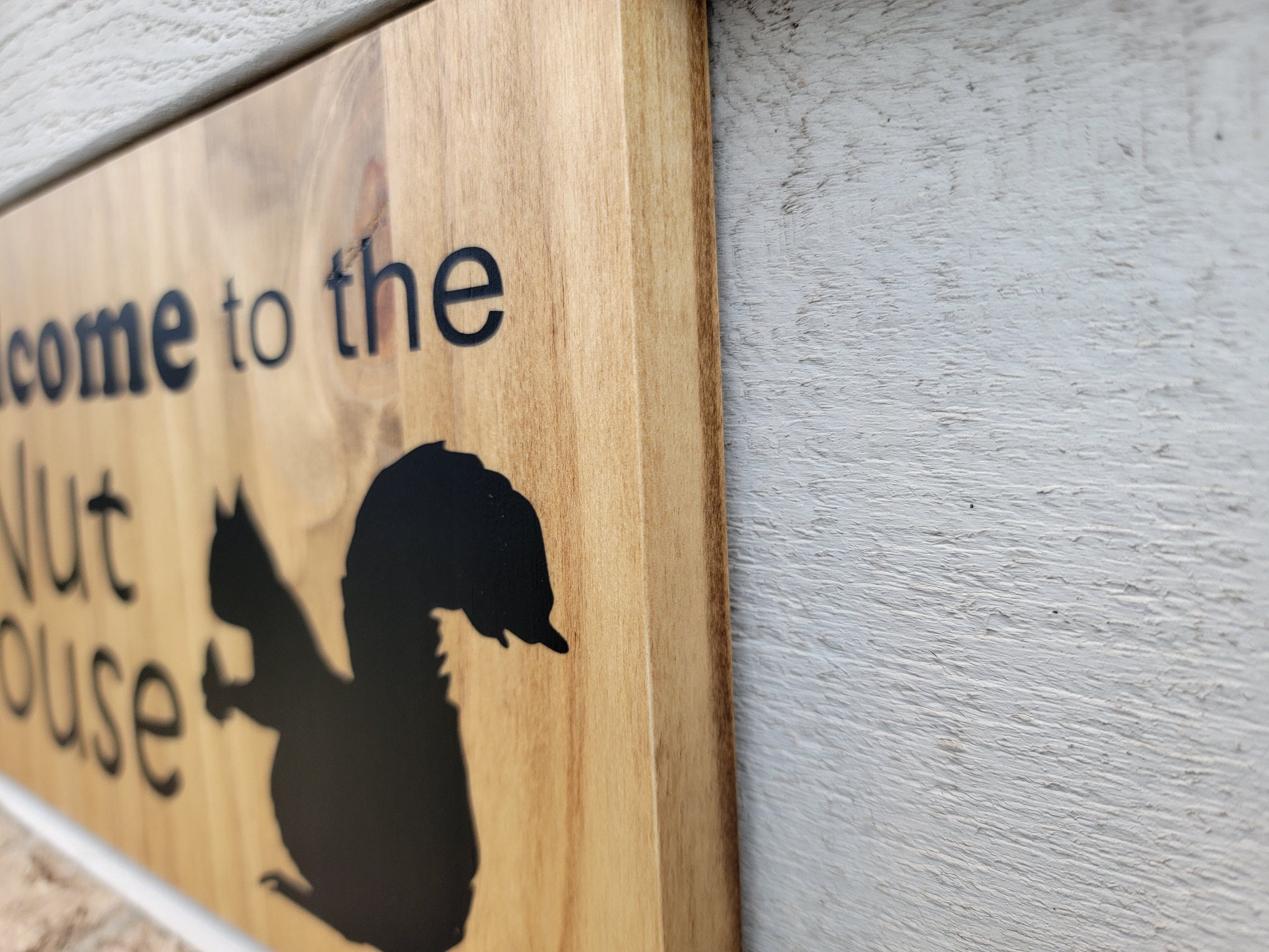 Painted Sign - Pine 6x12 - Welcome to the Nut House - Humorous Funny ...