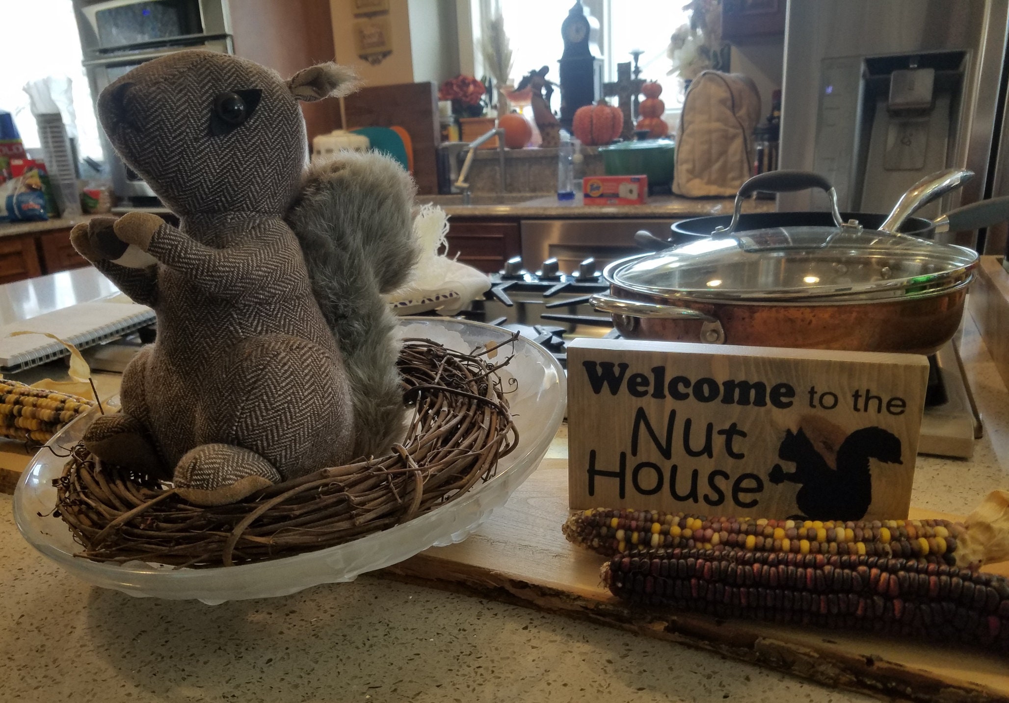 Painted Sign - Pine 4 X 7 - Welcome to the Nut House - Wood Wall Art ...