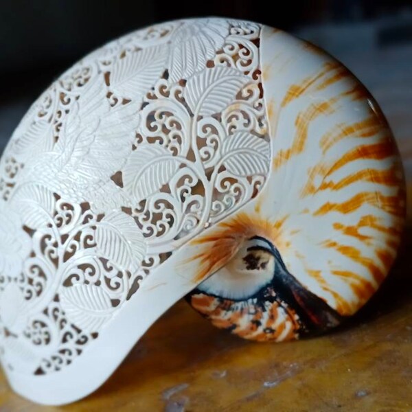 Shell Carving - Etsy