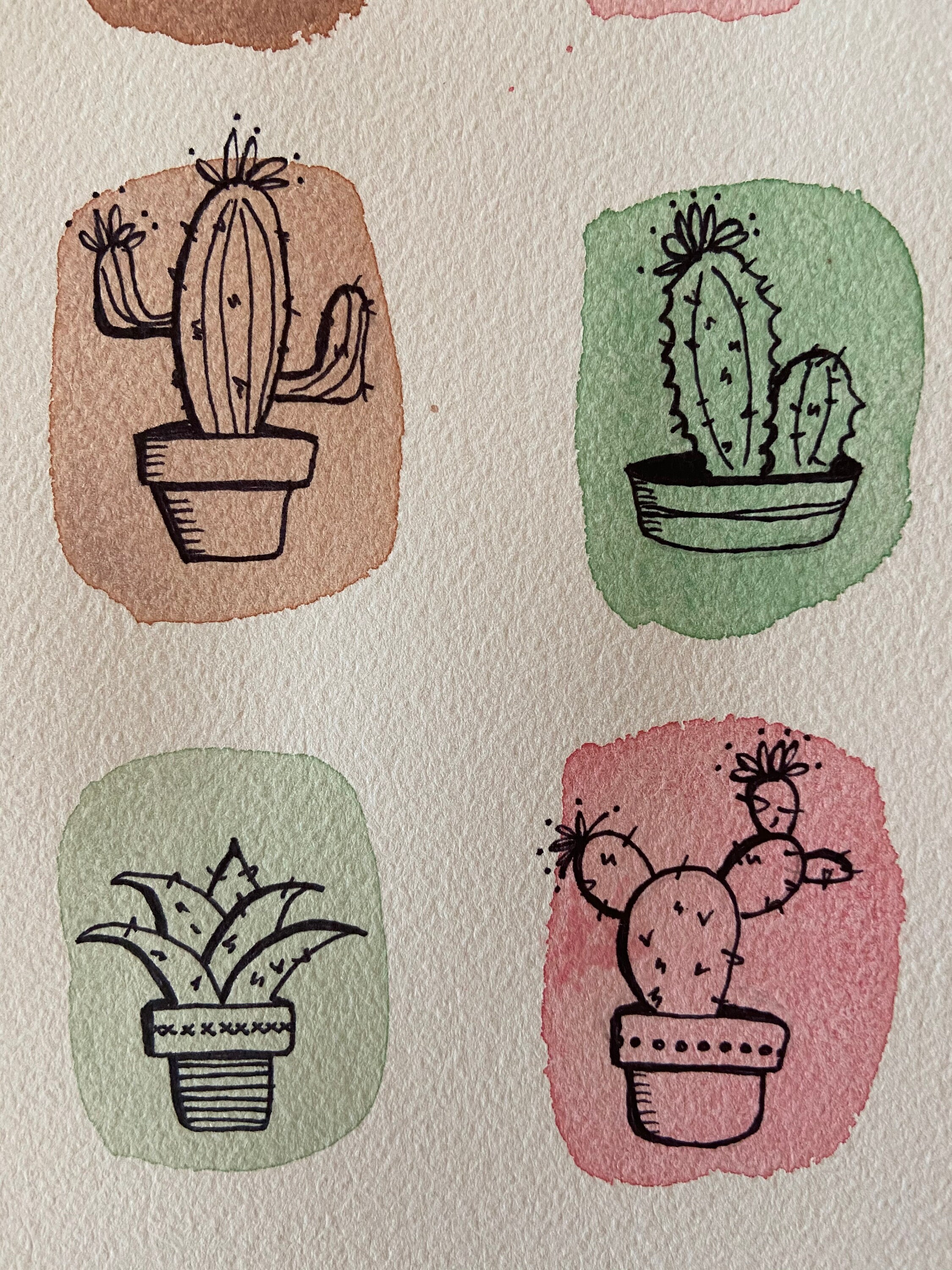 Handmade Watercolor and Ink Artwork of Succulents and Cacti - Etsy