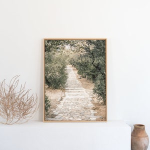 Olive Grove Print | Tuscany Print | Italy Printable Art | Italy Wall ...