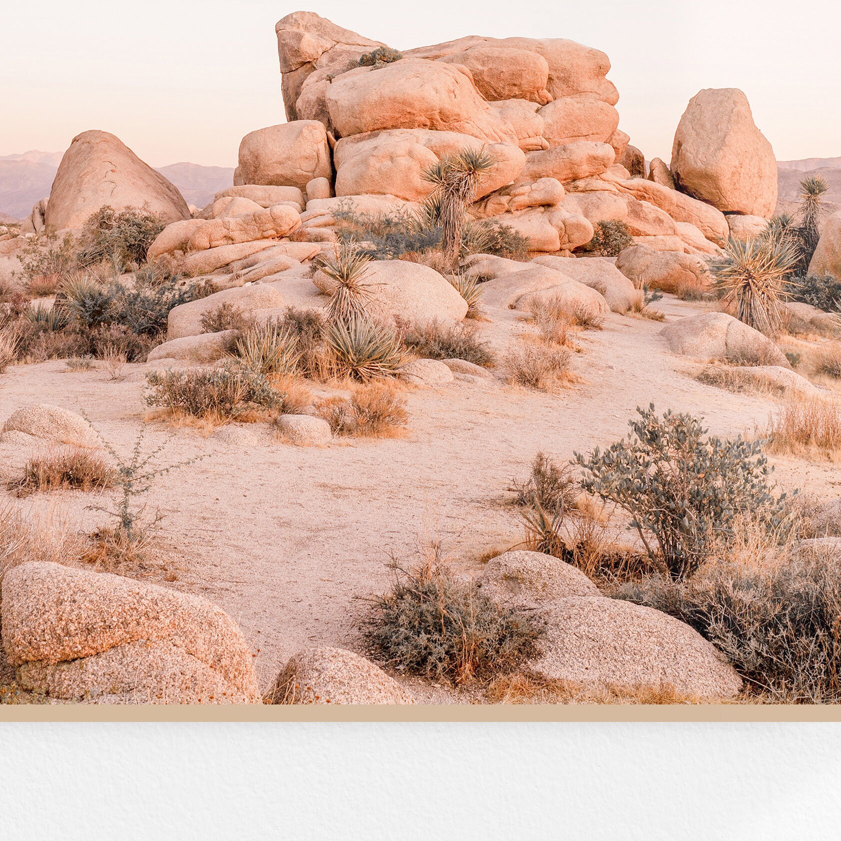 Joshua Tree Print Desert Wall Art Desert Landscape Print | Etsy