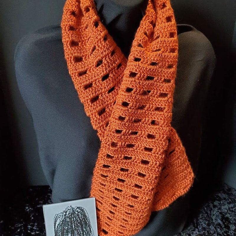 Burnt Orange Scarf - Etsy