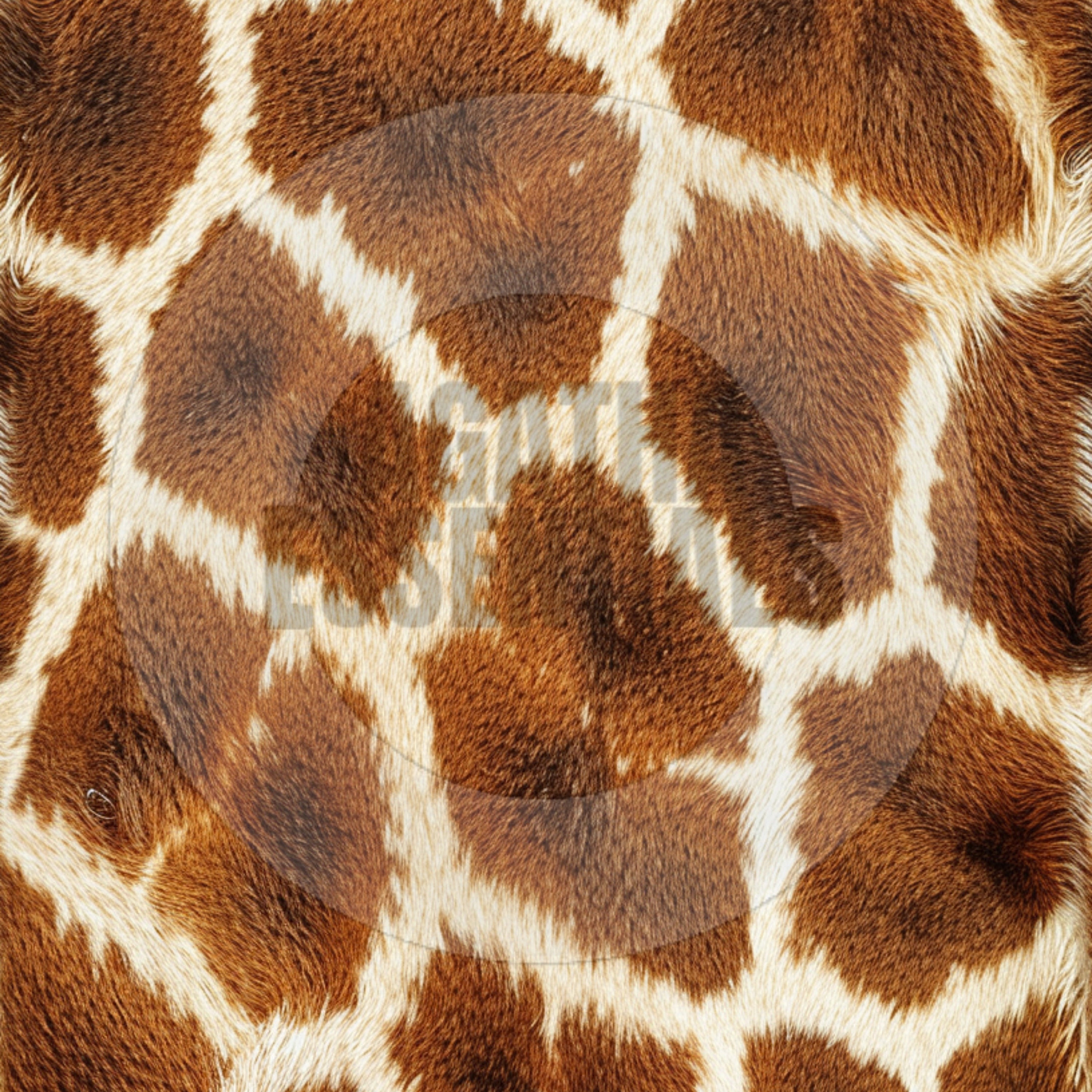 Classic Animal Print Digital Paper, Animal Skin Seamless Patterns With ...