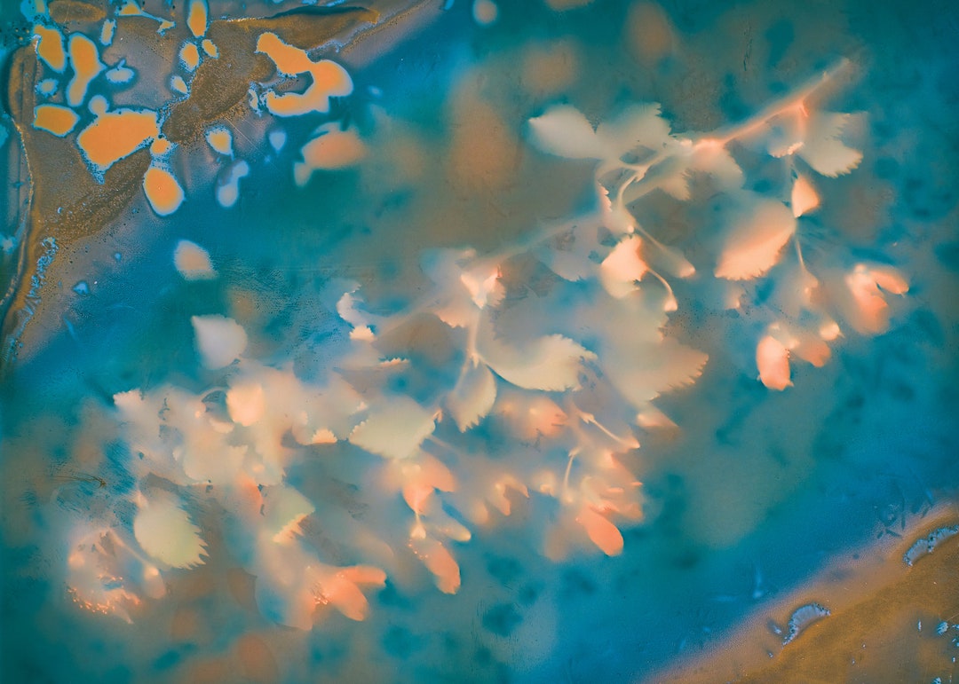 Biolumen Lumen Print - Etsy