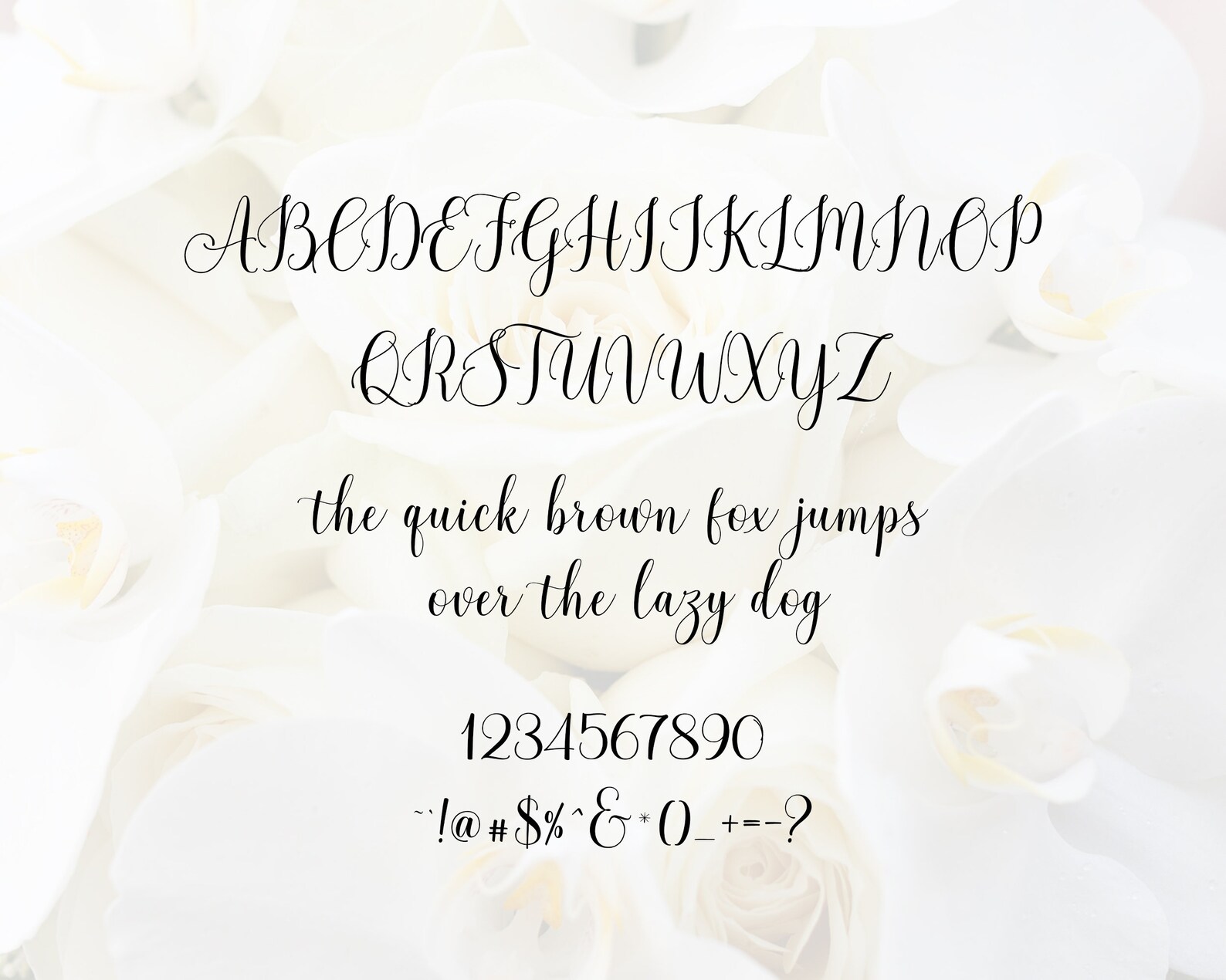 Abigail Font Calligraphy Font Handwritten Script Font | Etsy