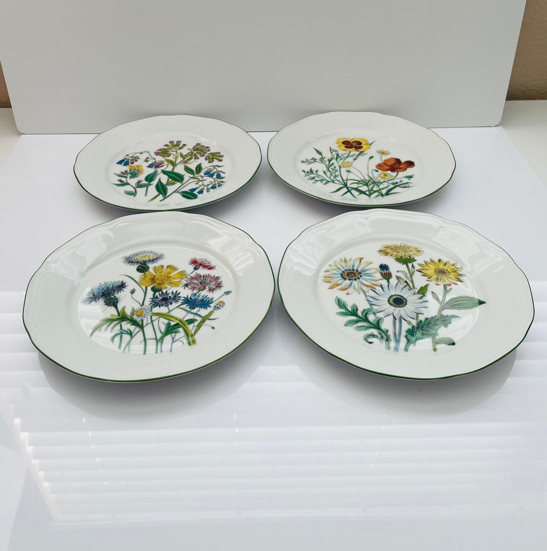 Vintage Set of 4 Botanical Plates by Bareuther Waldsassen - Etsy