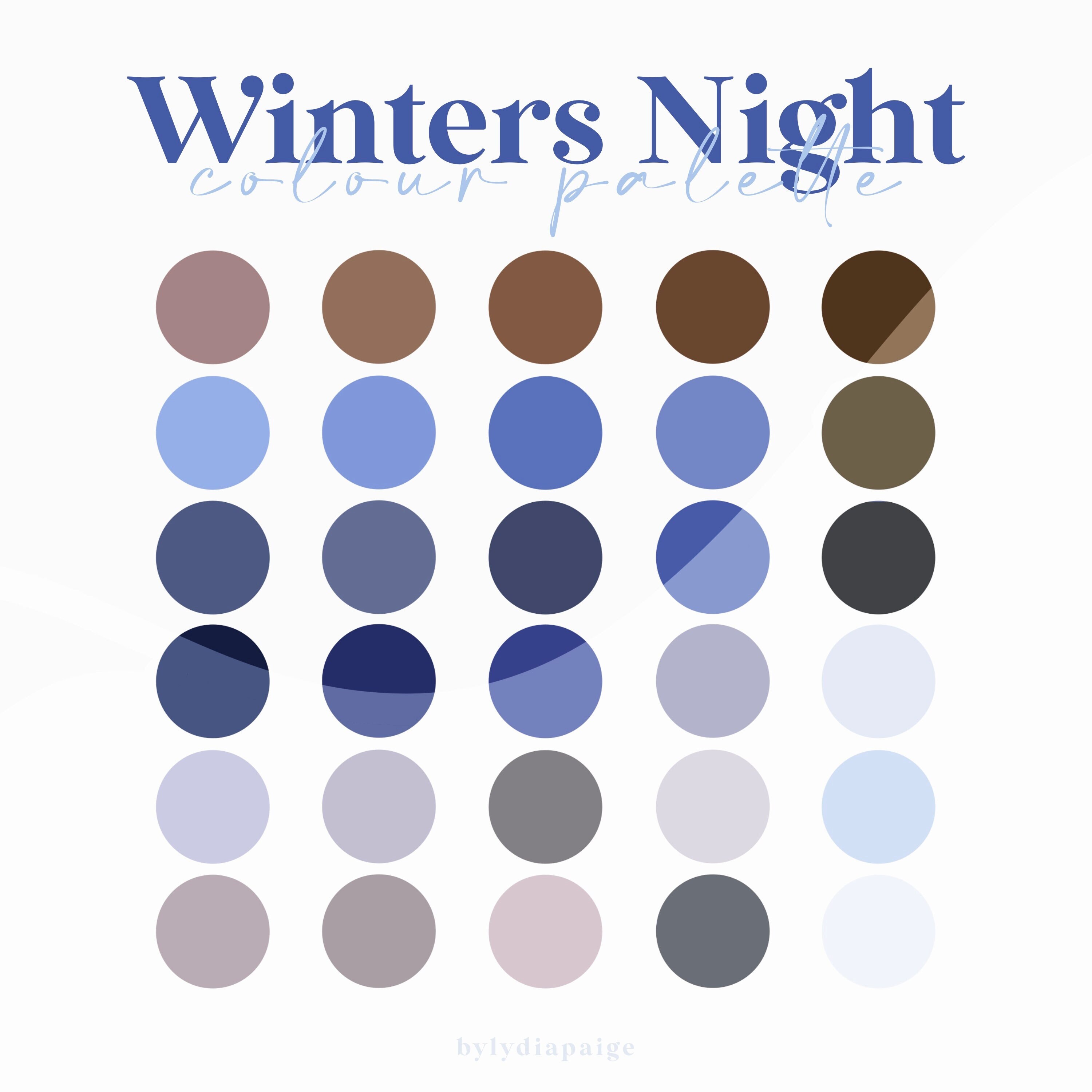 Winters Night Procreate Colour Palette Color Palette - Etsy