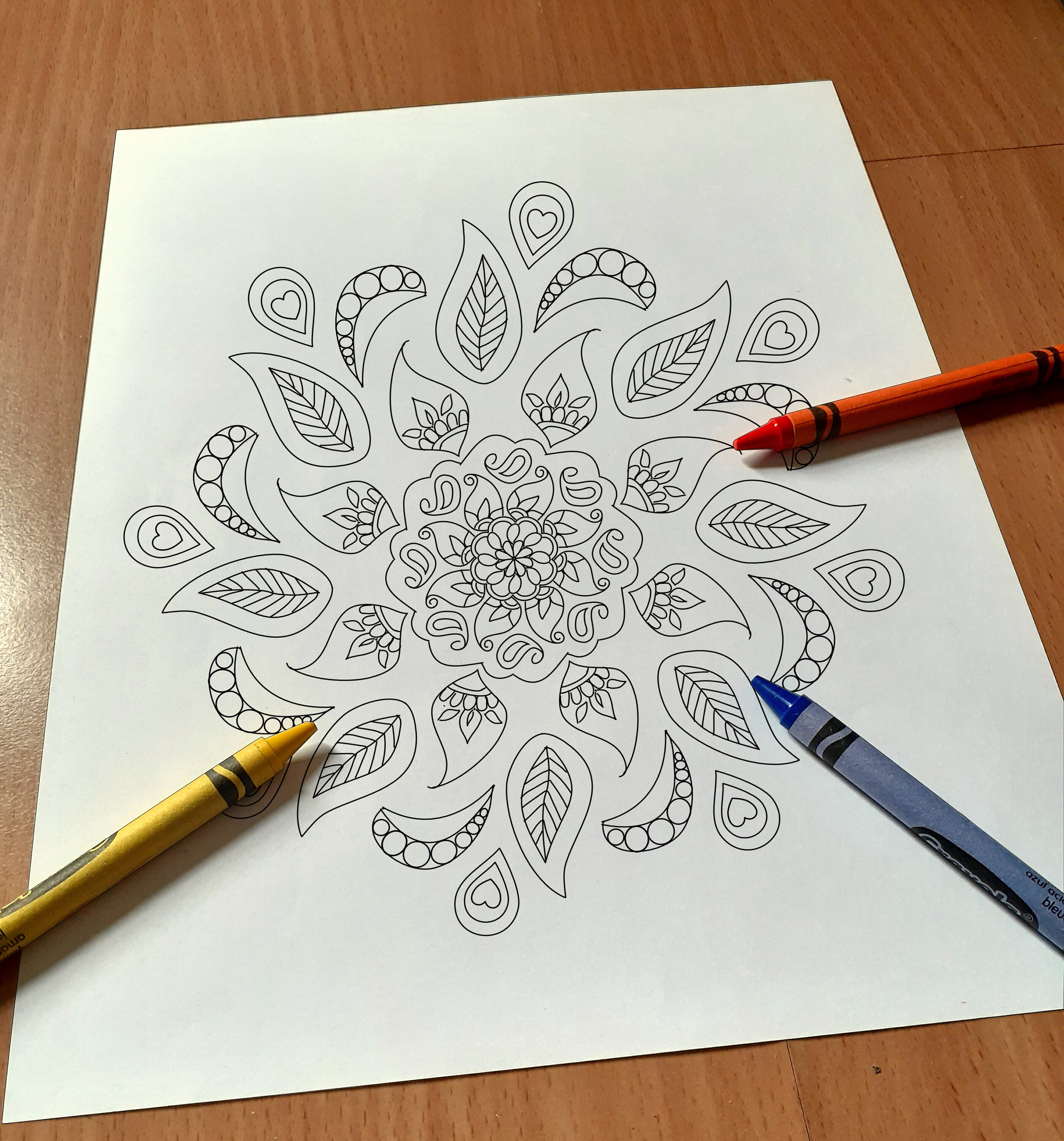 Mandala Coloring Book, Digital Coloring Pages for Adults and Kids ...