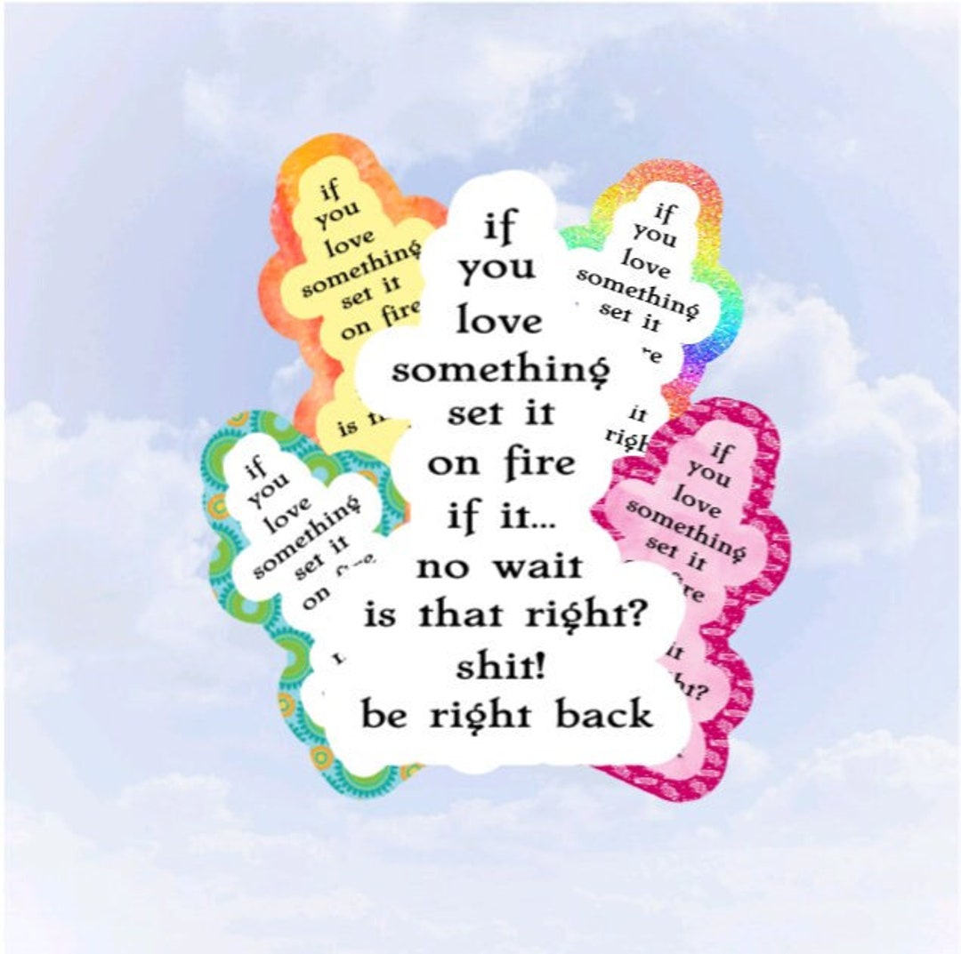 Funny Stickers, Profanity Stickers, Sticker Lovers Gift, Snarky and ...