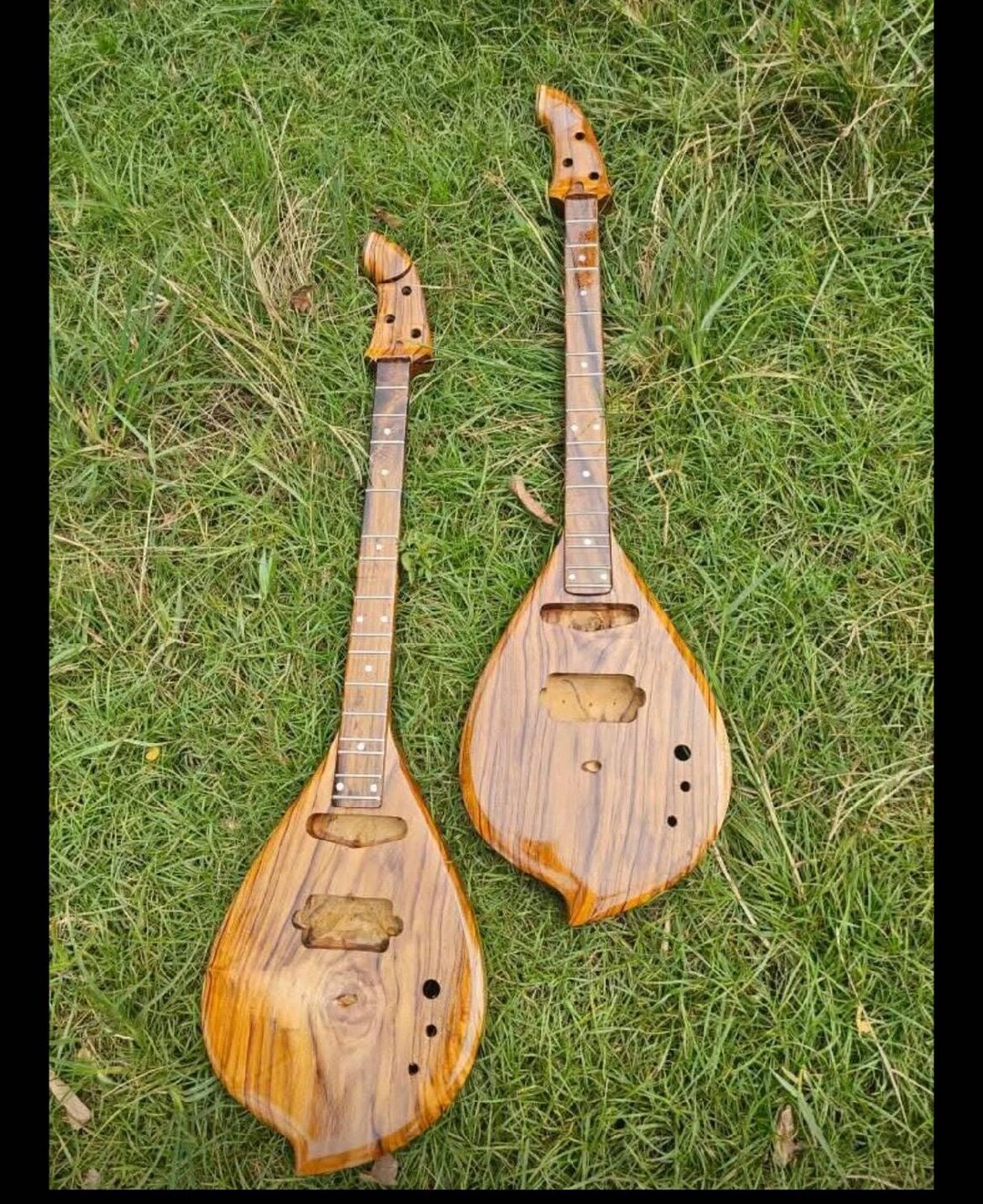 Wood Electric Phin Isaan Lao Thai Lute Unbuit Body Only - Etsy