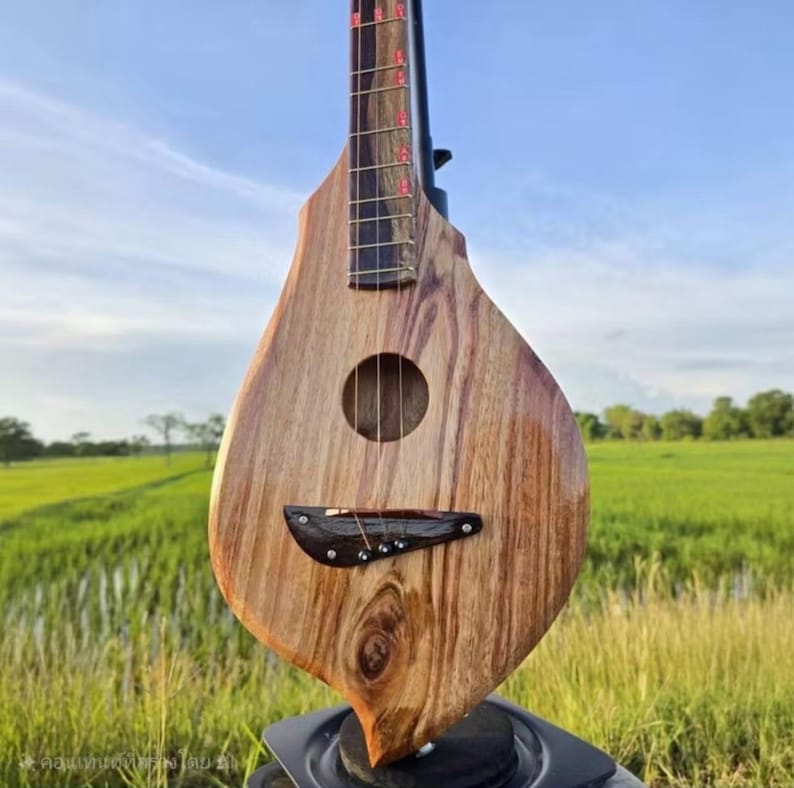 Traditional Isaan Lao Thai Music Instrument Phin Harp Lute Guitar ...
