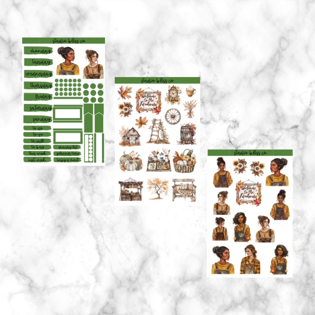 Planner Sticker Kit, Weekly Sticker Kit, Decorative Stickers, Planner ...