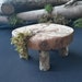 Natural Log Pedestal With Moss Accent - Etsy