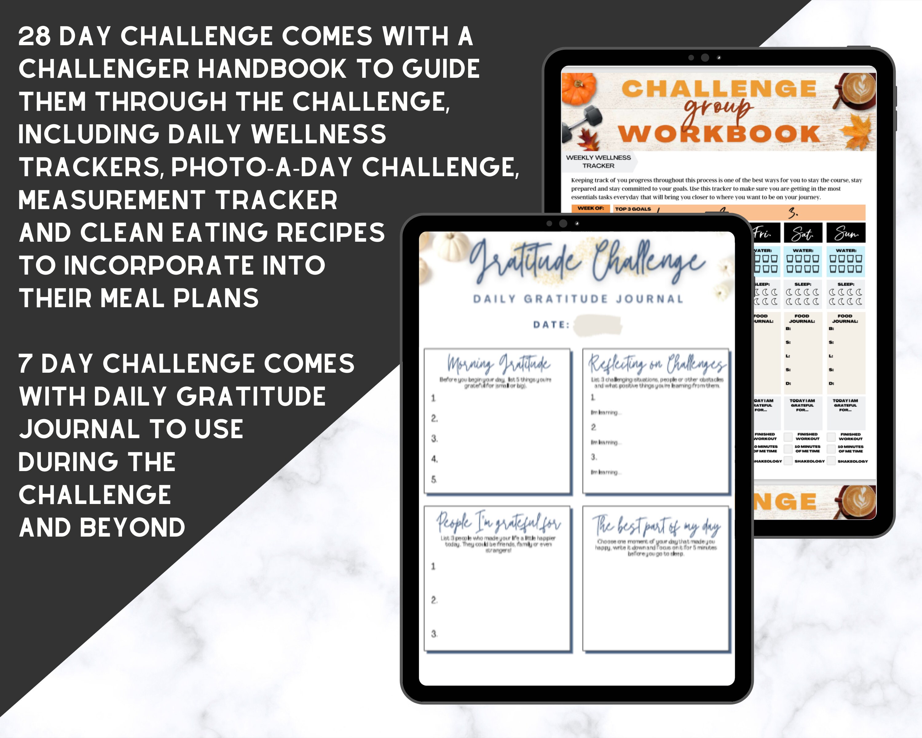 Fall Gratitude Challenge Group Guide Bundle, September, October ...