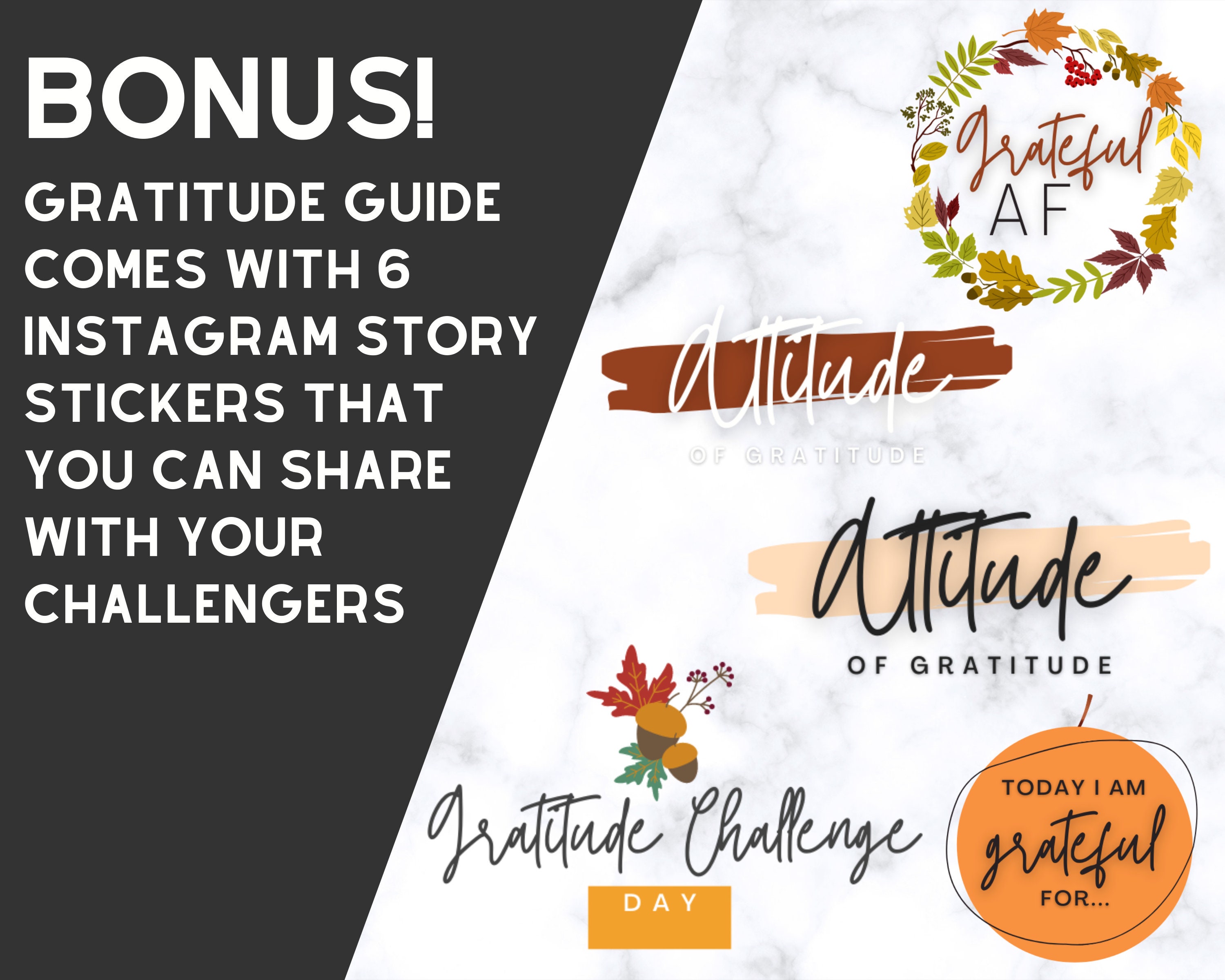Fall Gratitude Challenge Group Guide Bundle, September, October ...