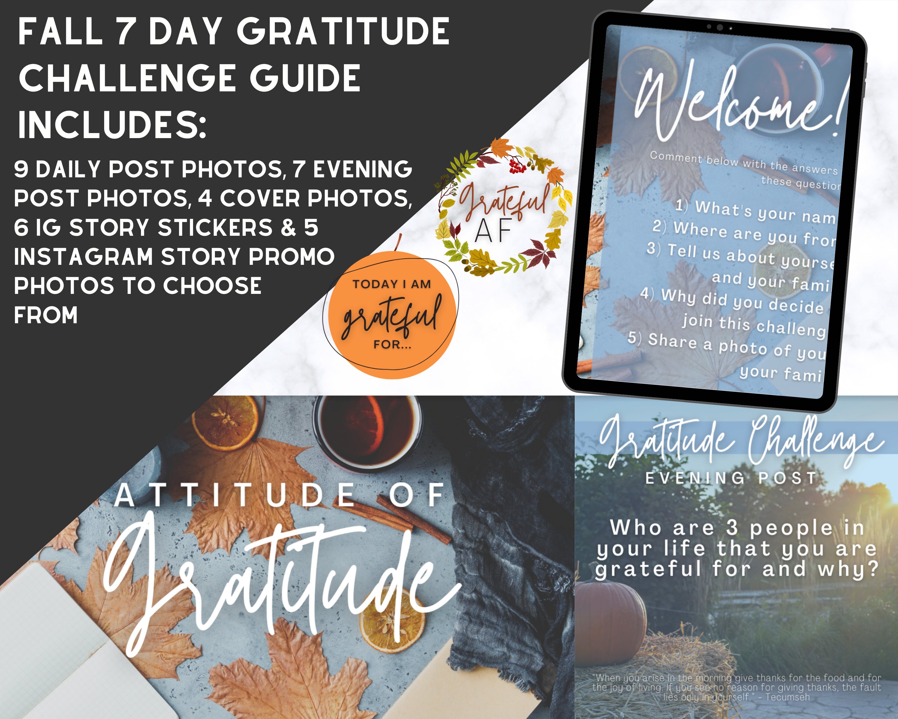 Fall Gratitude Challenge Group Guide Bundle, September, October ...