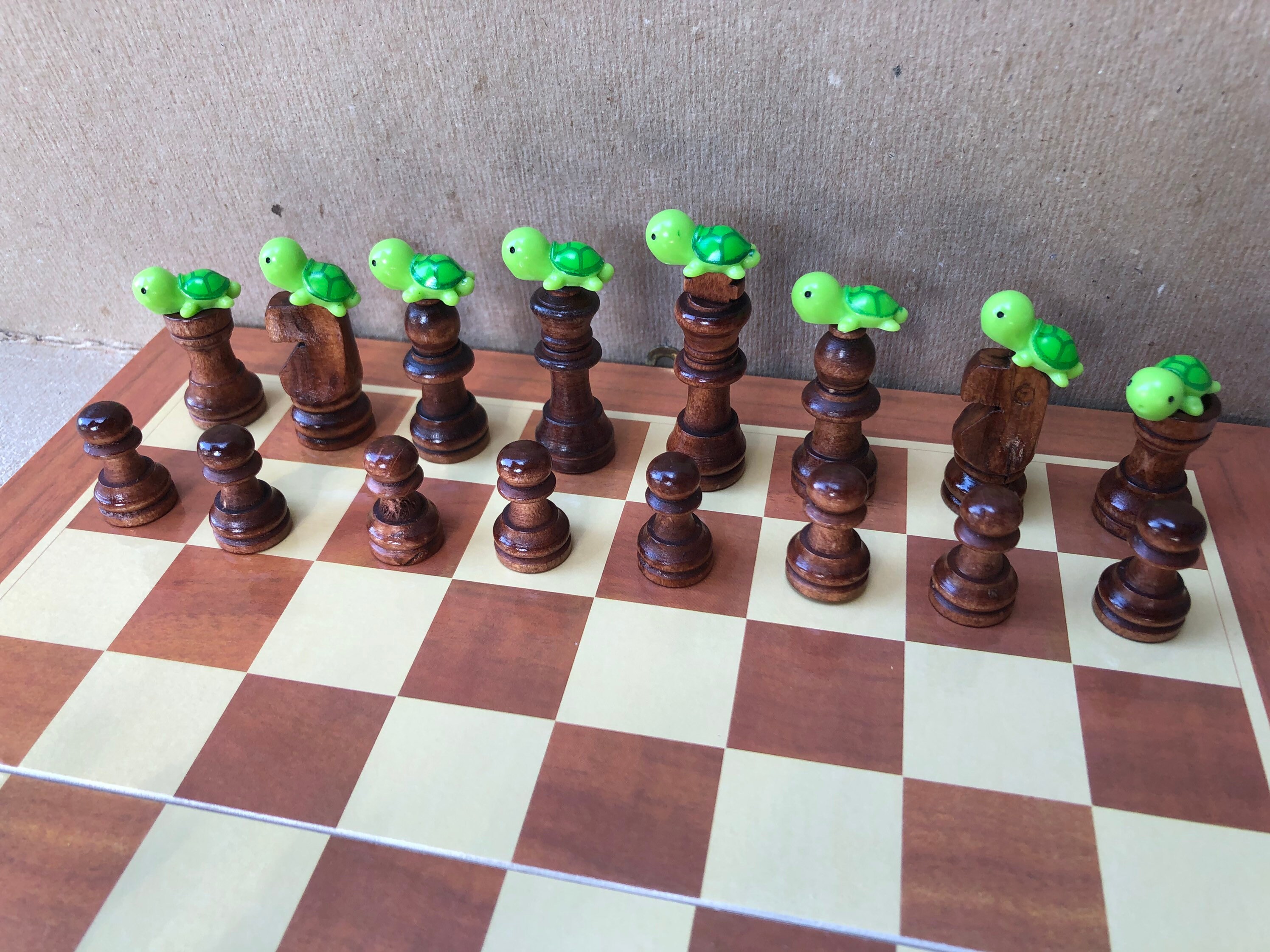 Duck V Turtle Cute Chess Set - Etsy