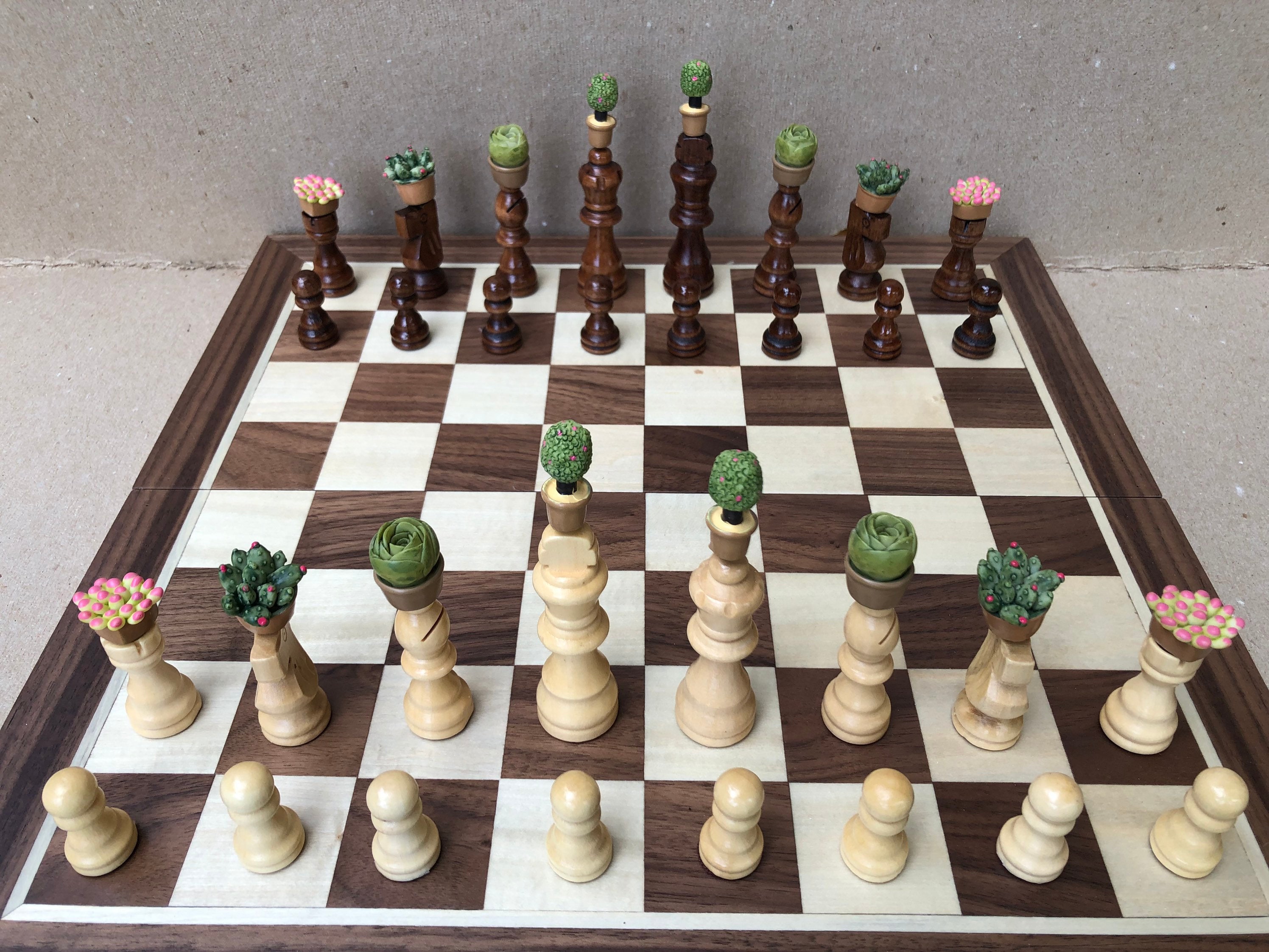 Cacti Plant Chess Set - Etsy