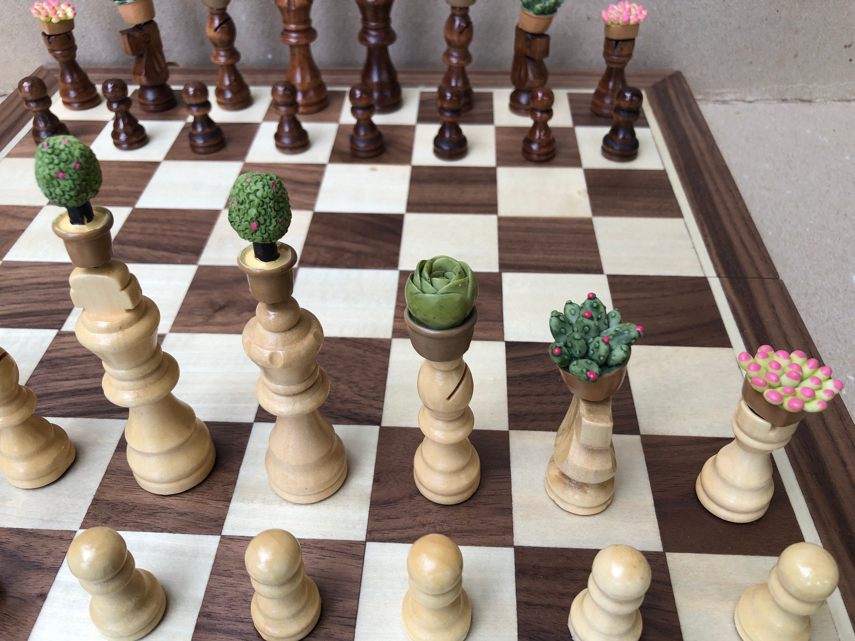 Cacti Plant Chess Set - Etsy
