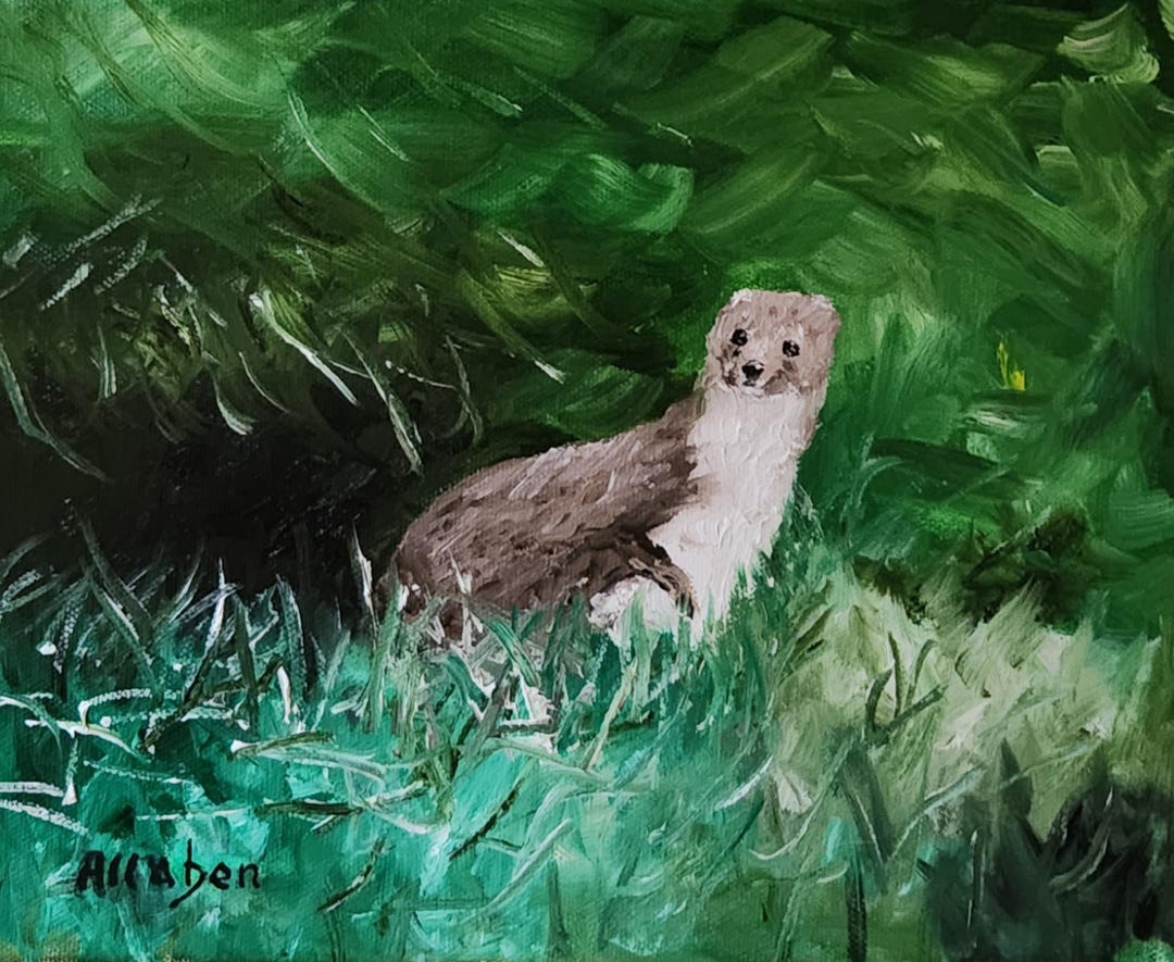 Original Wildlife Oil Painting of a Weasel in a Forest Setting Framed ...