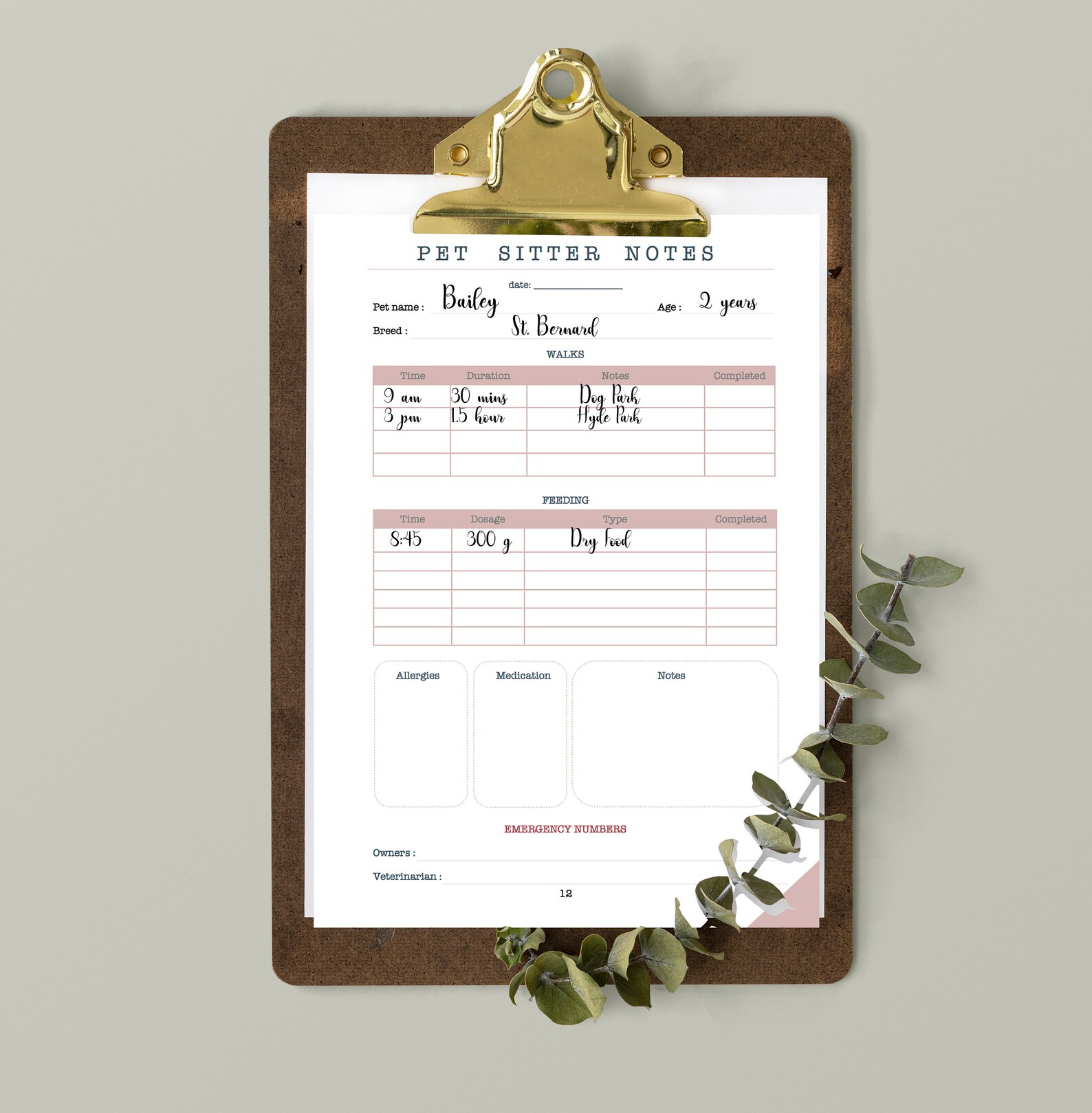 Pet Planner Printable | Pet Care Sheets | Pet Organizer | Dog Care ...