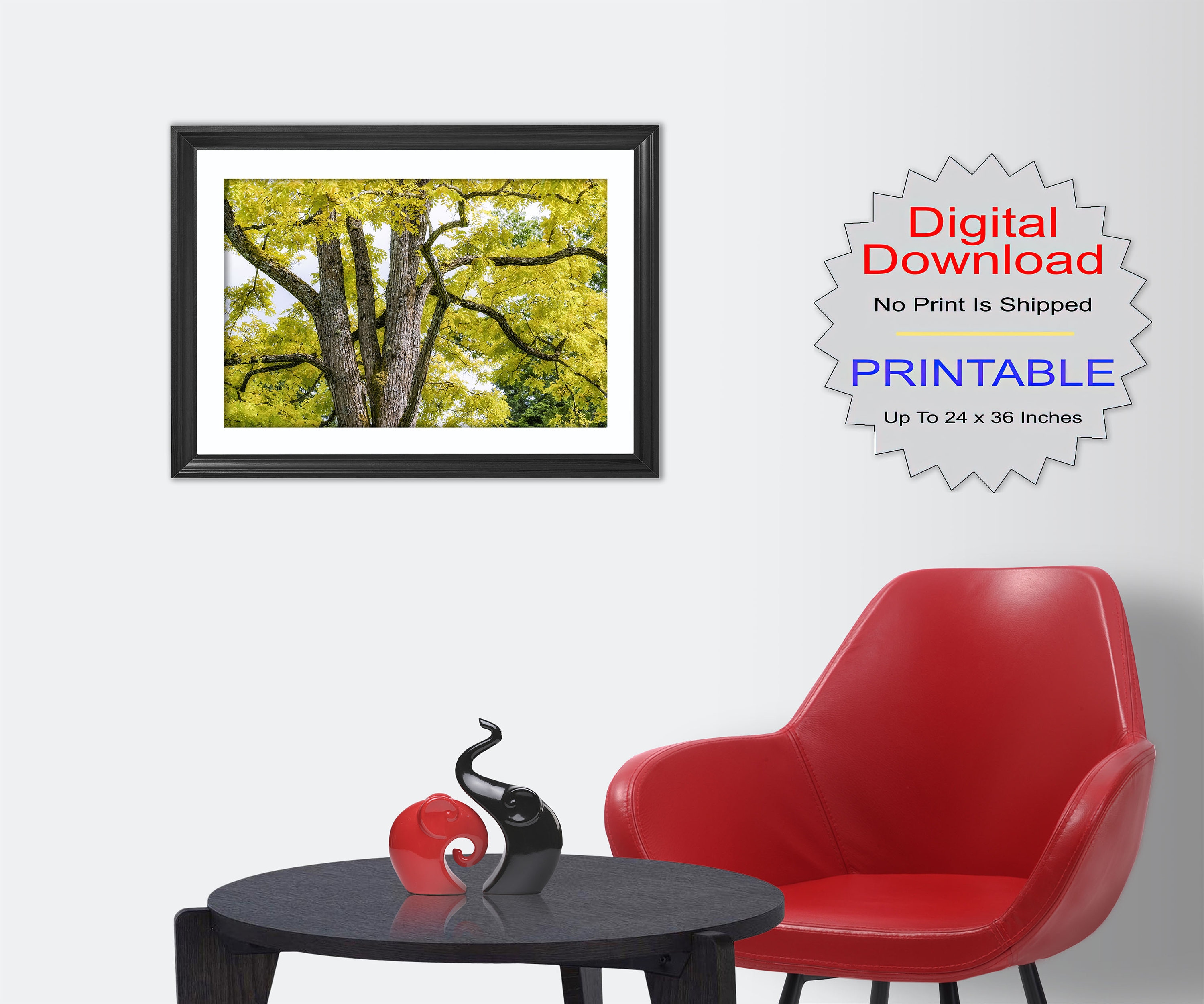 Locust Tree Art Photo, Butchart Gardens, Tree Print, Nature Photography ...