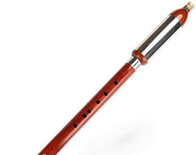 3D Printed Triple Flute, Key of Low D, Native American Style - Etsy