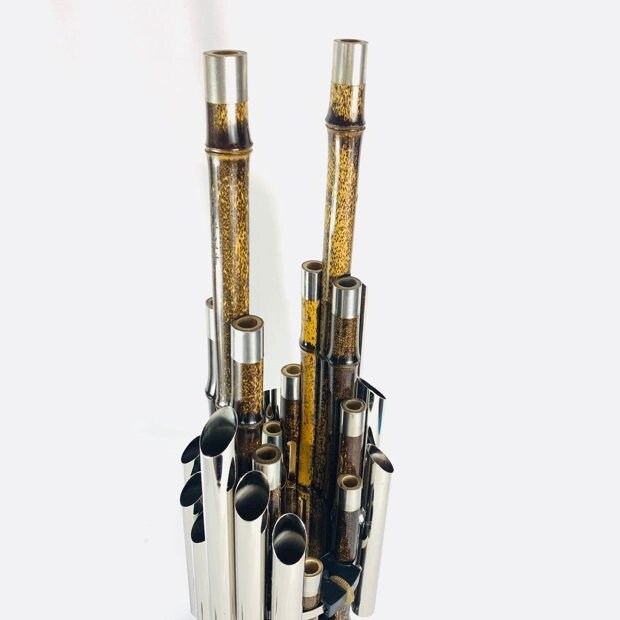 Sheng Instrument Modern