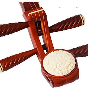 Orientalmusicsanctuary Varnished Rosewood Pipa - Etsy