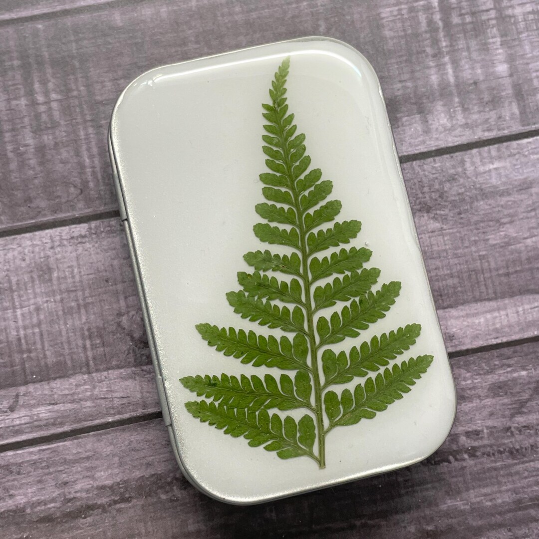 Decorative Tin, Green Fern, Jewelry Case, Resin, Real Leaf, White ...