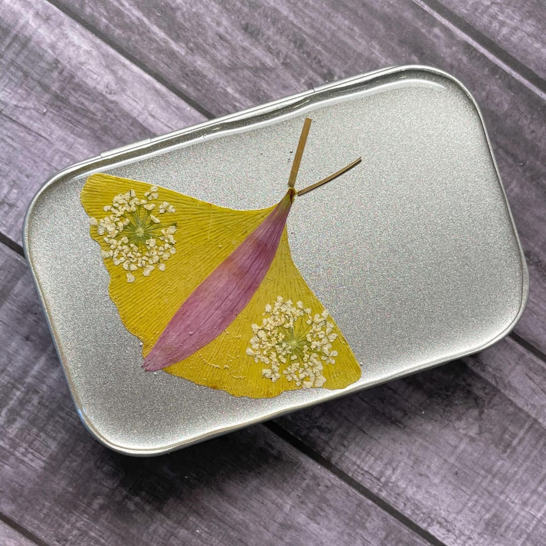 Decorative Tin, Moth, Leaves, Flowers, Jewelry Case, Resin, Real Leaves ...